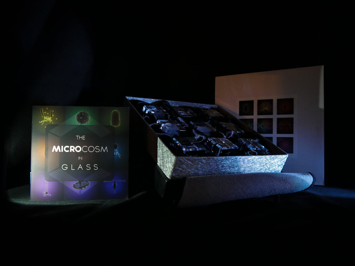 Microcosm in Glass | CinkS labs GmbH